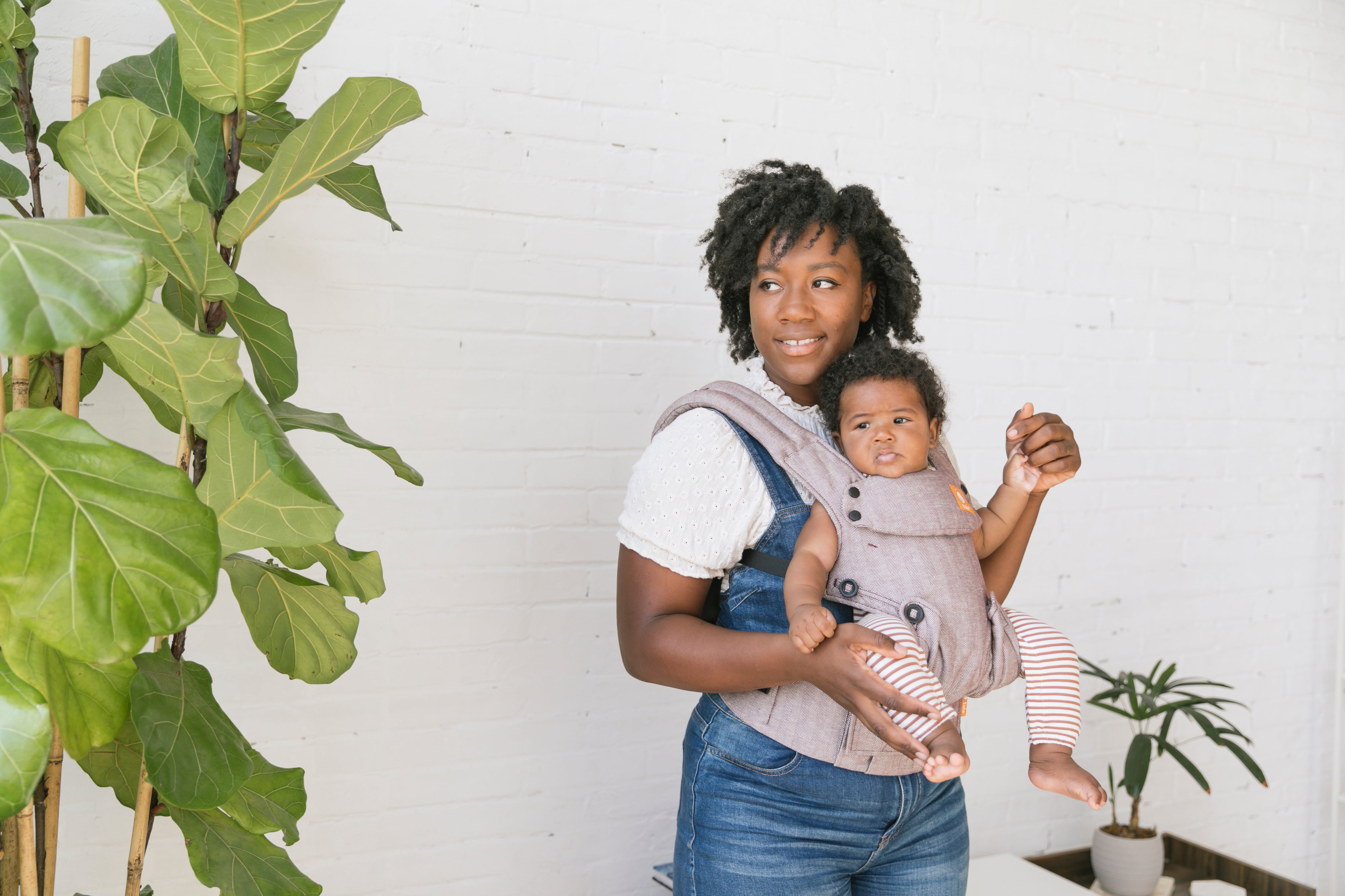 The Tula Explore Back & Front Facing Baby Carrier | Baby Tula US – Baby ...